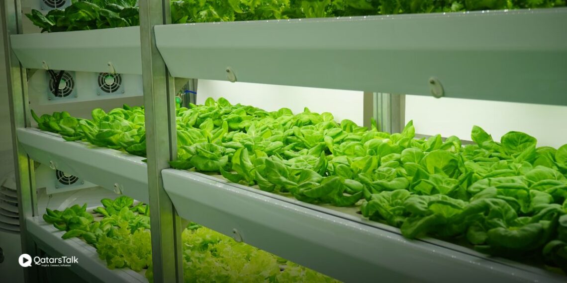 Qatars Indoor Vertical Farming Revolutionizing Food Security